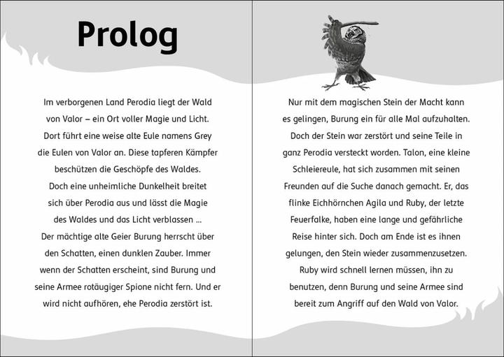 Loewe Le dernier faucon de feu et la magie noire (tome 6) (Allemand ...