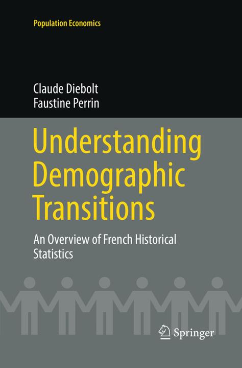 Springer Understanding Demographic Transitions - kaufen bei Galaxus