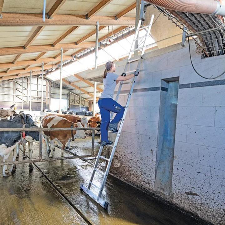 Munk Rung single ladder with standard traverse 12 rungs (Single ladder ...