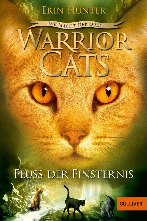 Zubehör für Warrior Cats Staffel 3/02. Die Macht der Drei. Fluss der ...
