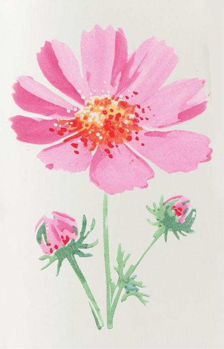 Sizzix Geschichtete Schablonen "Cosmo" von Willow Wolfe