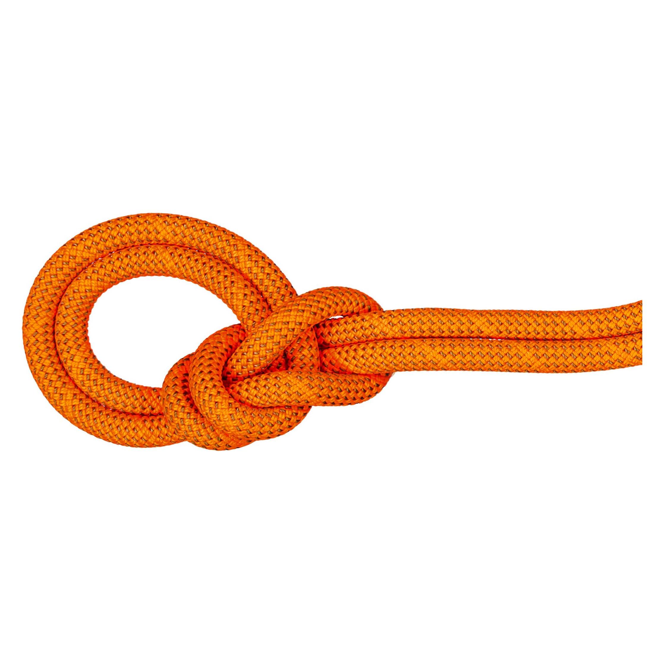 Mammut 9.8 Crag Dry Rope 70m - kaufen bei Galaxus - Galaxus