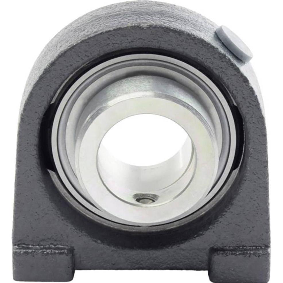 Ina Stehlager-Gehäuseeinheiten RSHE25 - kaufen bei Galaxus