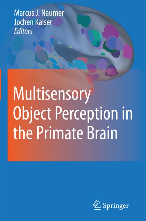 Springer Multisensory Object Perception in the Primate Brain - Galaxus