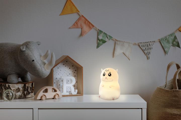 hamster night light