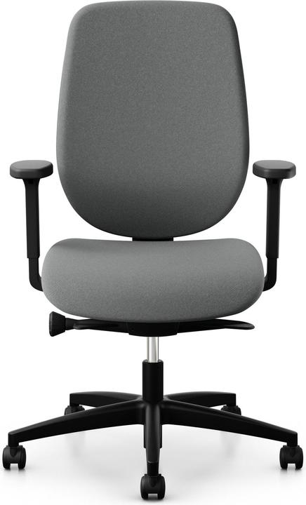 Giroflex Drehstuhl 353-4529 mit 2D Armlehnen, Grau/Schwarz, Neu - Galaxus