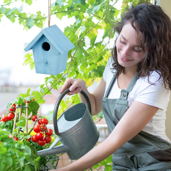 Relaxdays Deko Vogelhaus - buy at Galaxus