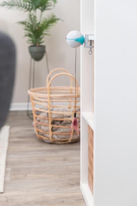 Trixie Catch It - kaufen bei Galaxus - Galaxus