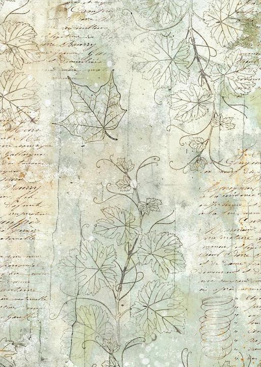 Stamperia Motiv-Strohseide Backgrounds "Herbarium Silvae", DIN A6, 8er ...