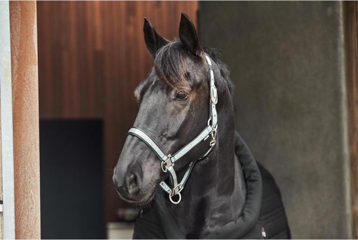 Catago Halter - kaufen bei Galaxus