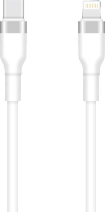 Setty USB-C - Lightning Kabel 1m 3A KSC-L-130 weiss (1 m) - Digitec