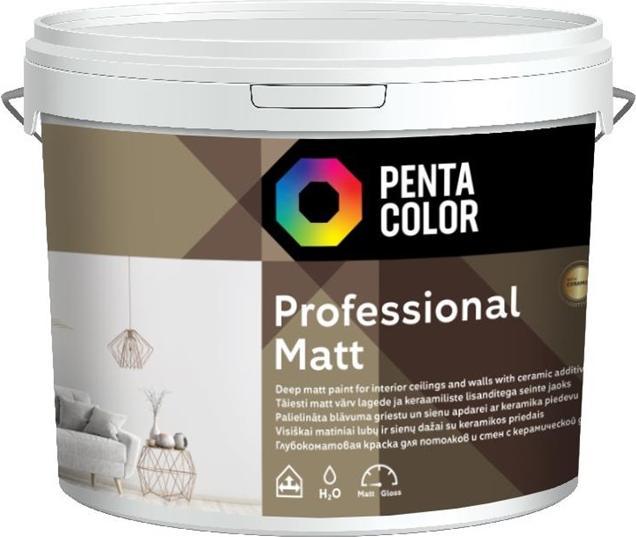Pentacolor Dispersion Paint Professional Mat - acheter sur Galaxus