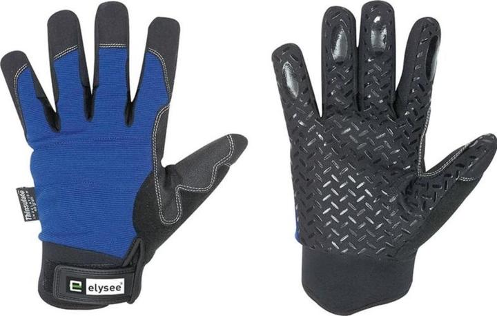 Elysee Winter glove Freezer, size 8, black/blue - buy at Galaxus