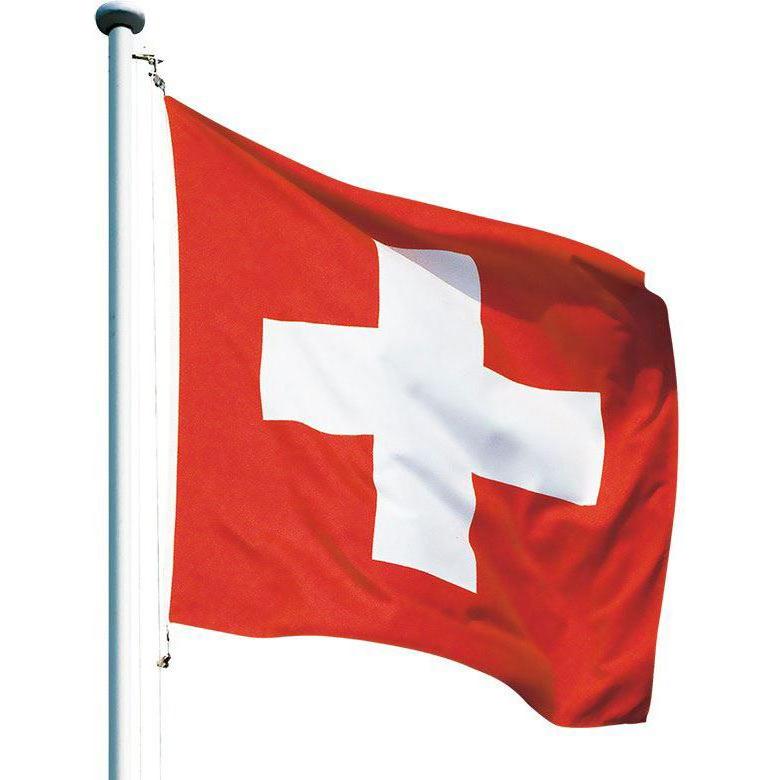Keller Fahnen Schweizerfahne - kaufen bei Galaxus