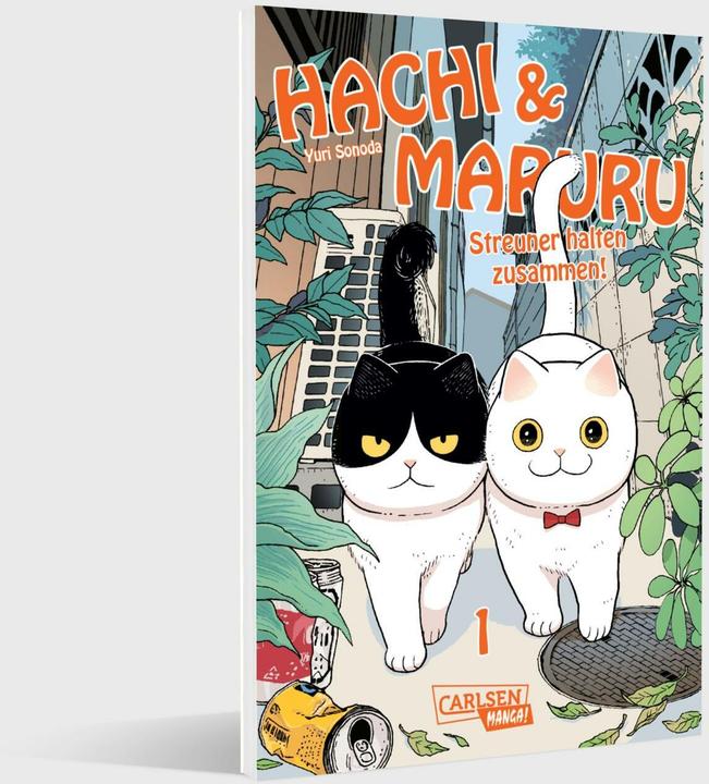 Carlsen Hachi & Maruru - Streuner halten zusammen! 1 - Galaxus