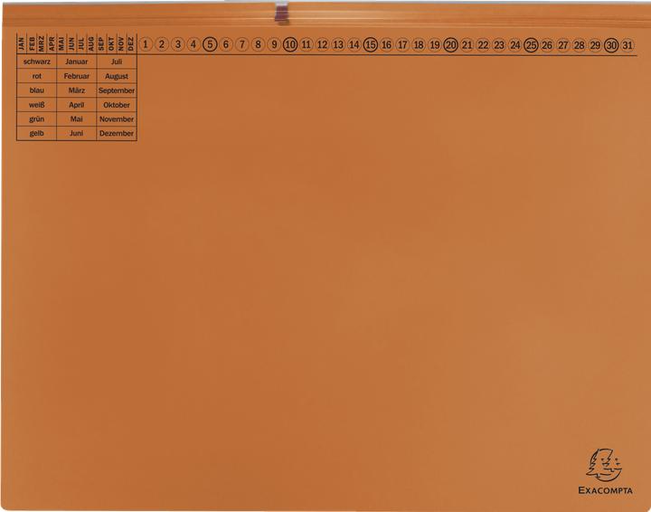 Exacompta 25 hanging files Exaflex cardboard orange 2 x commercial ...