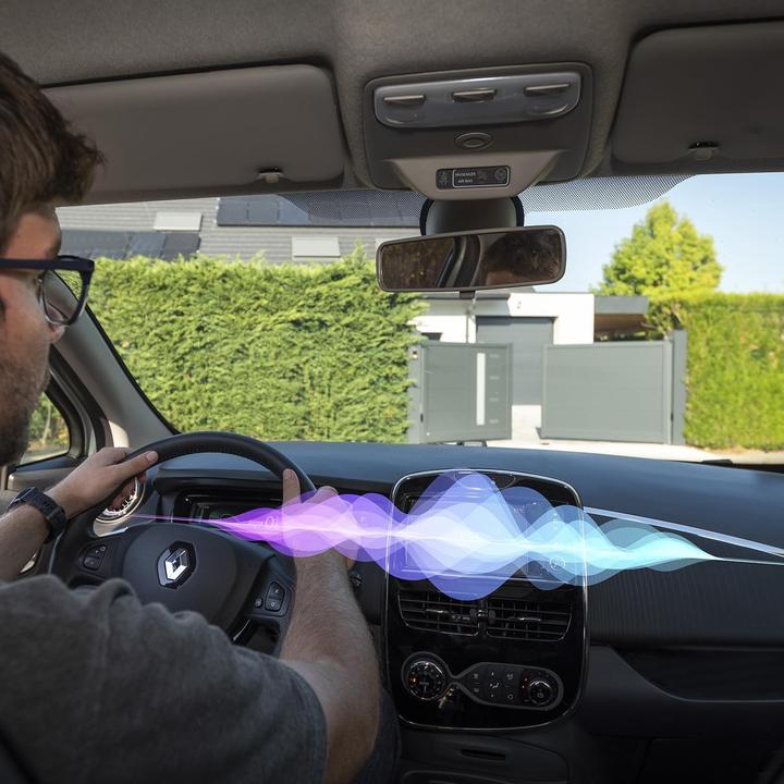 somfy Evolvia Star Gate Motor with Arm, Alexa and Google Home ...