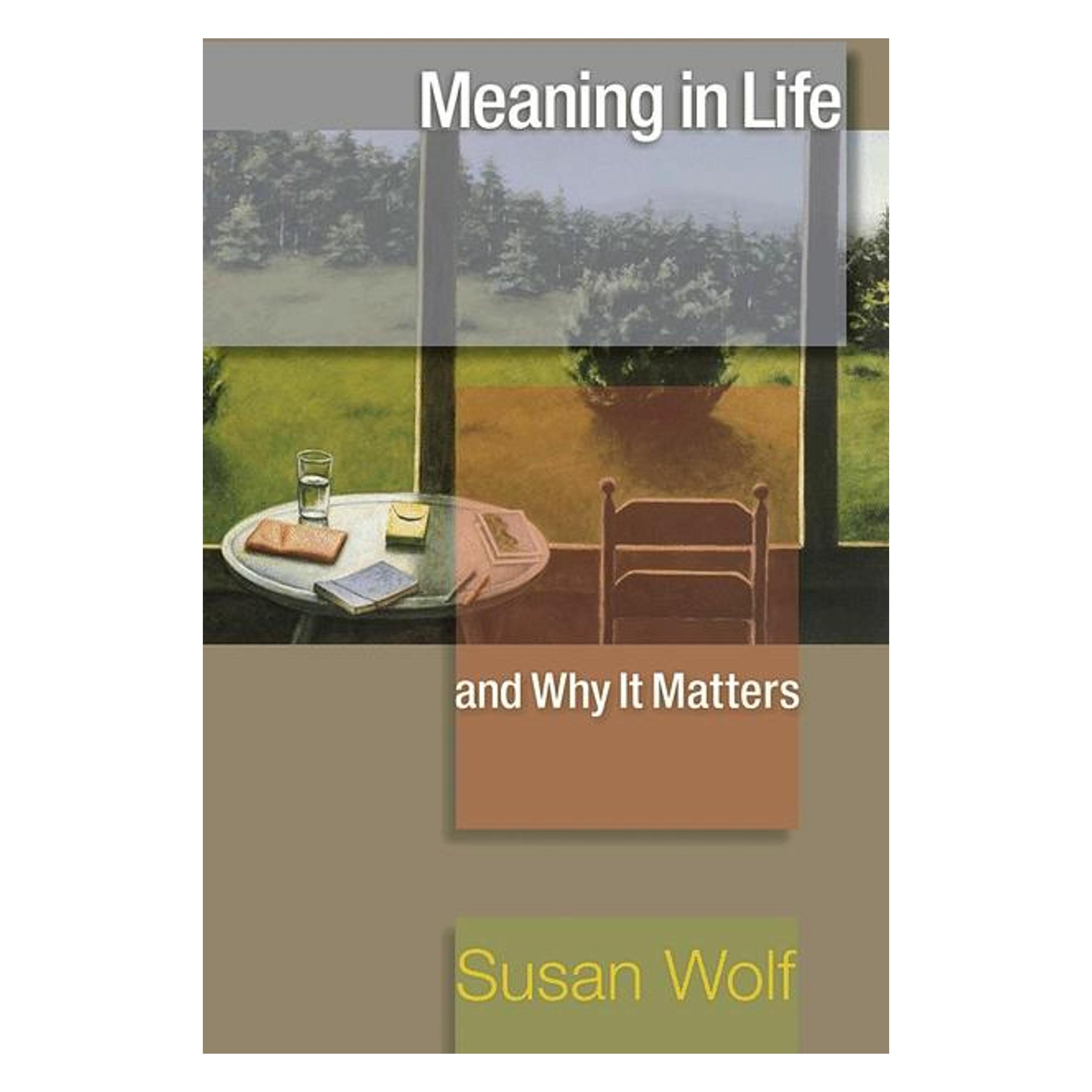 Princeton Meaning in Life and Why It Matters - kaufen bei Galaxus