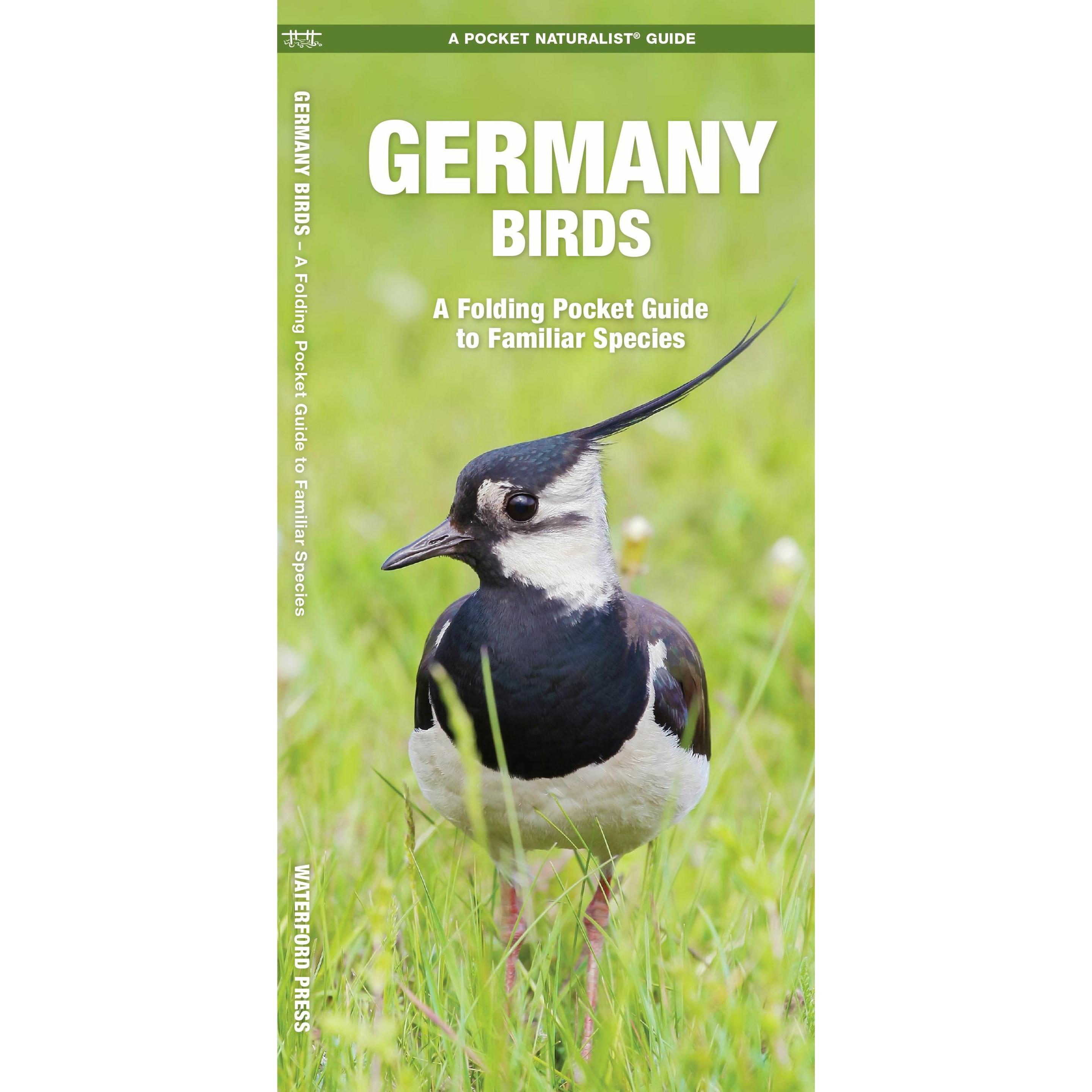 Various Publishers Germany Birds: A Folding Pocket Guide to Familiar ...