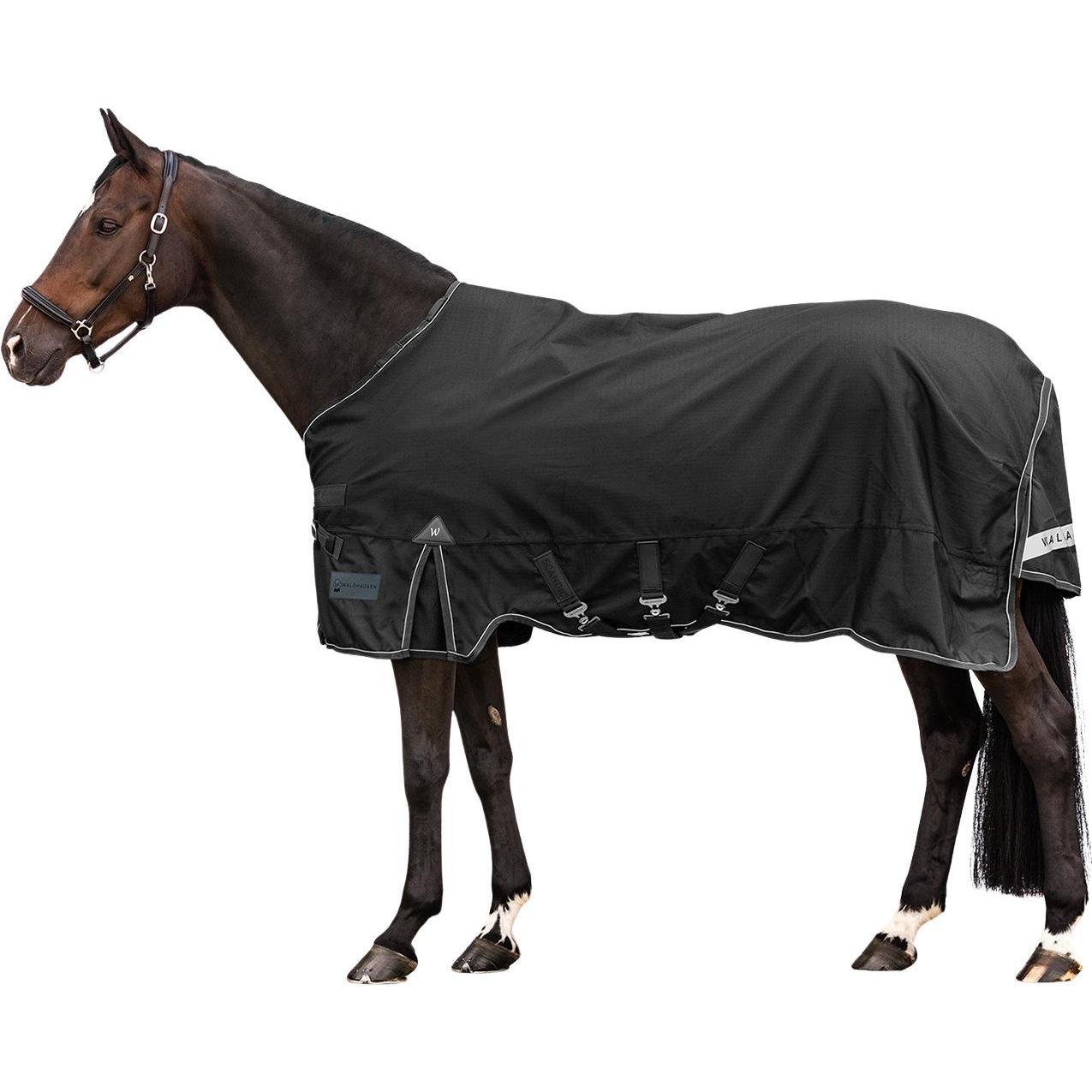 Waldhausen Scandic 200g - kaufen bei Galaxus