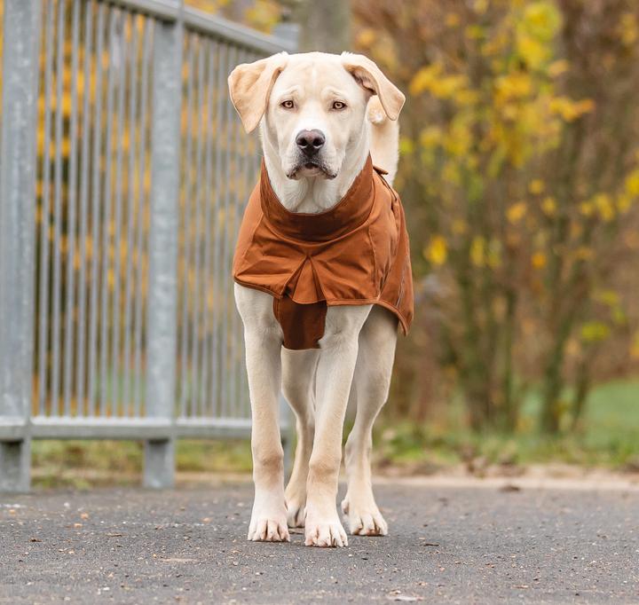 Trixie Citystyle Regenjas Hond Dublin Roest - 40 Cm (S, Hunderegenmantel)