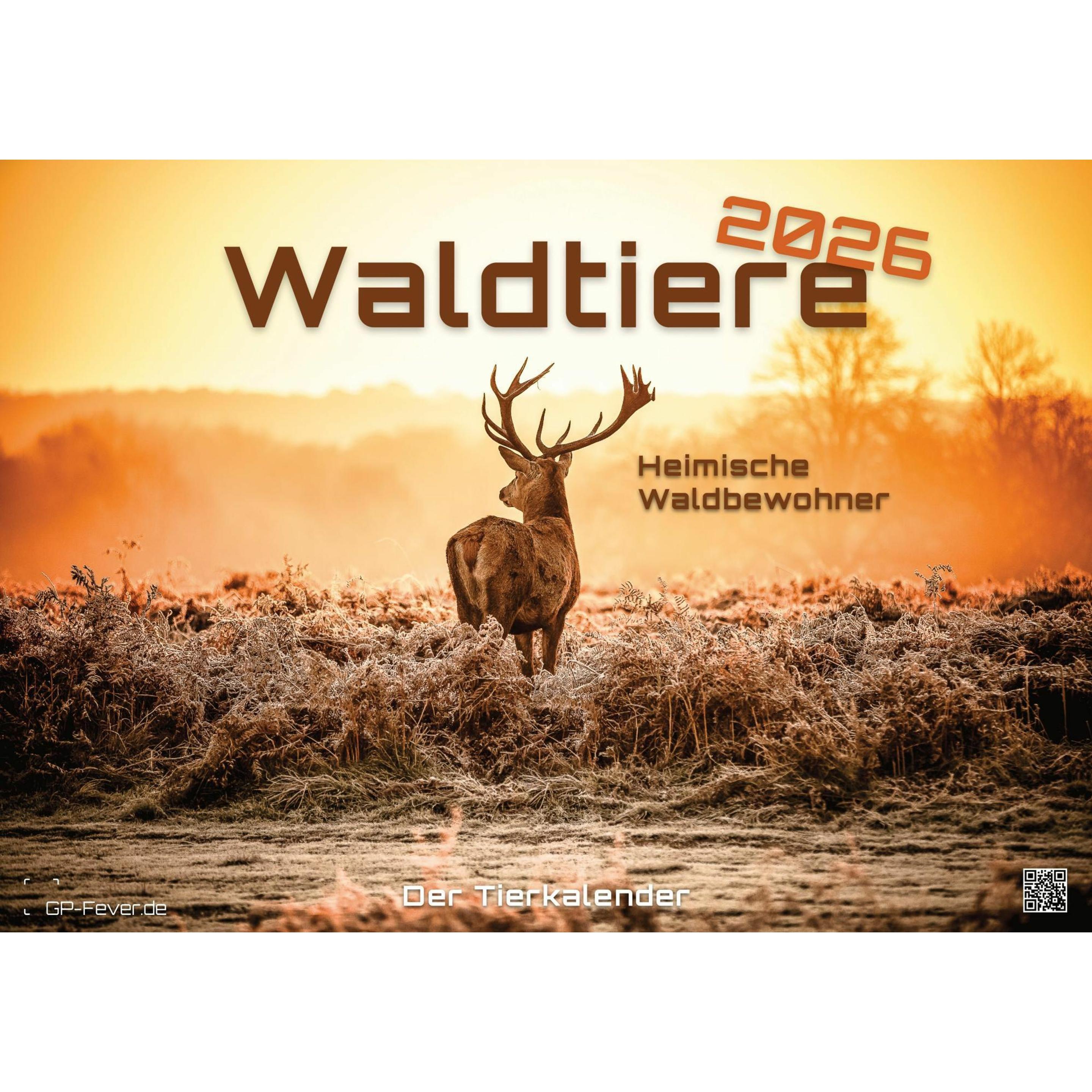 GP Fever Animaux de la forêt - Les habitants de la forêt - Le ...