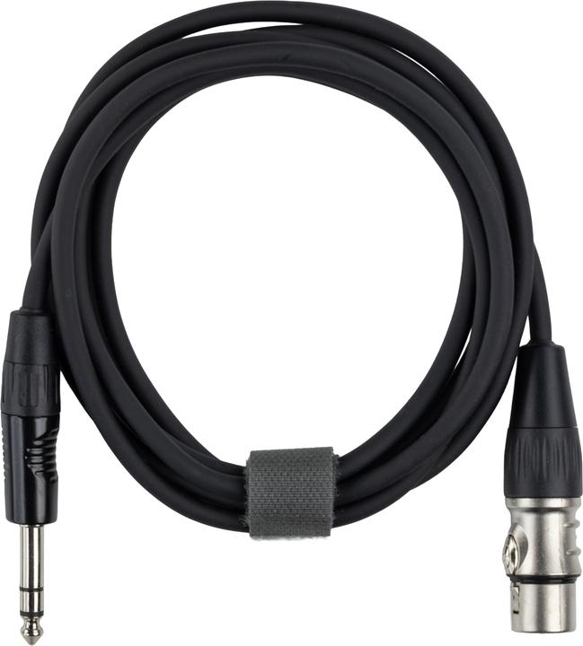 Fuj Tek 6.3 mm TRS Male to XLR Female Signal Cable, 3 m, Black - Digitec