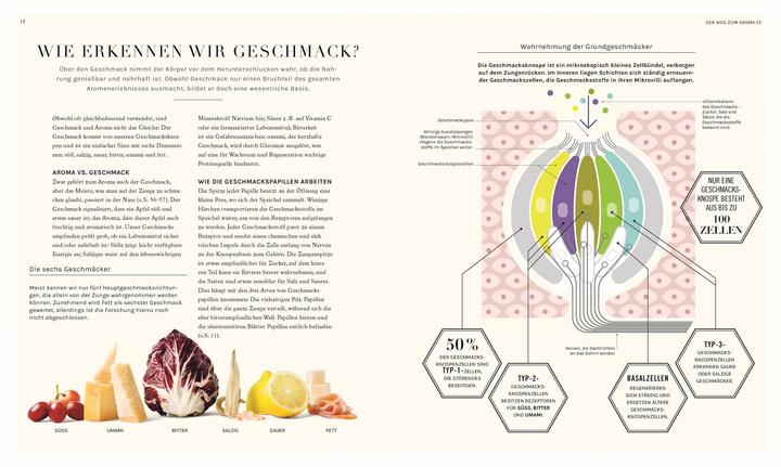 Various Publishers So funktioniert Geschmack - kaufen bei Galaxus