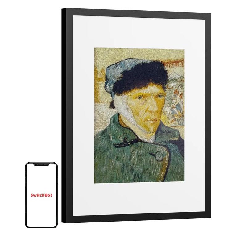SwitchBot AI Art Frame 13.3" Digital Photo Frame - kaufen bei Digitec ...