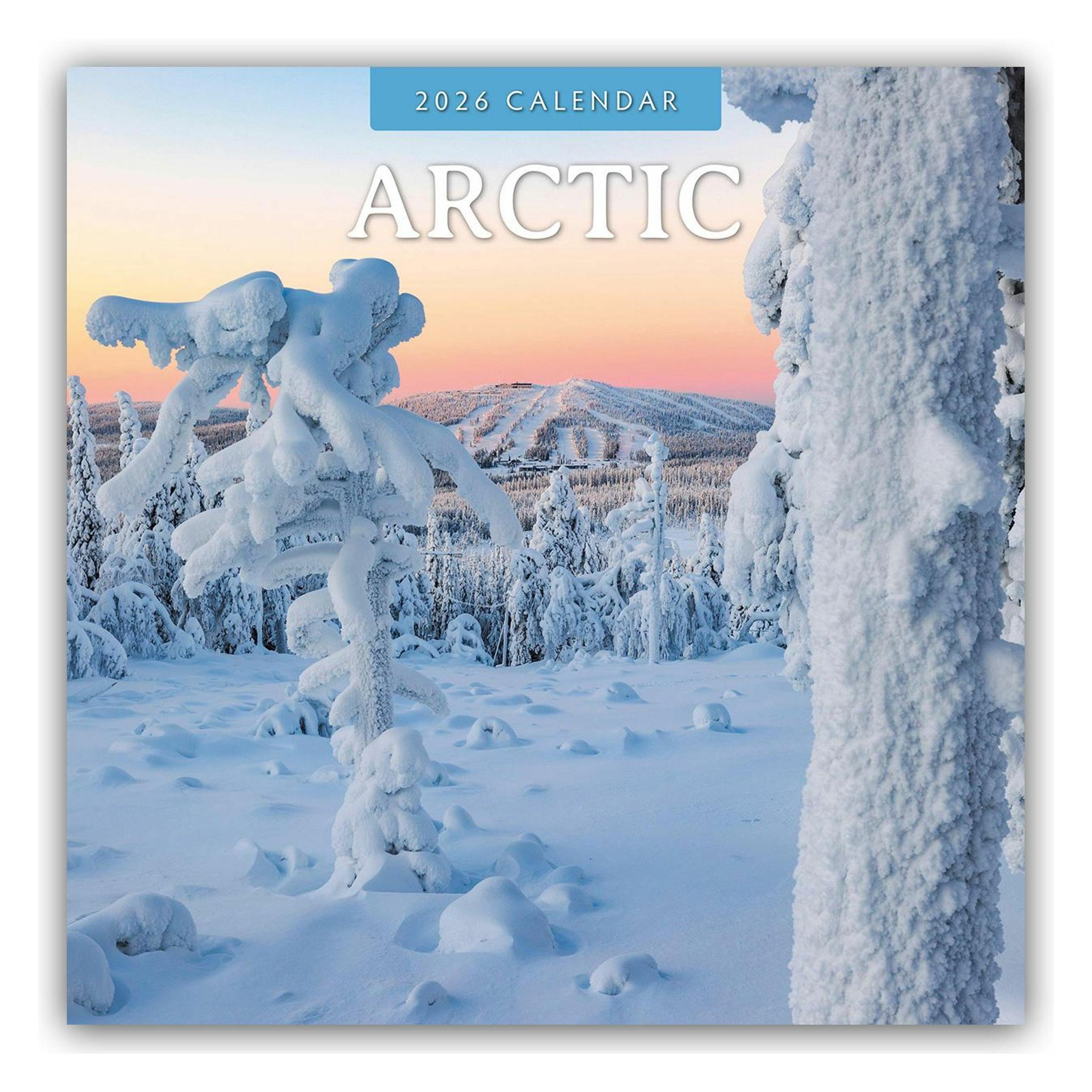 Arctic 2026 Square Wall Calendar - kaufen bei Digitec - Digitec