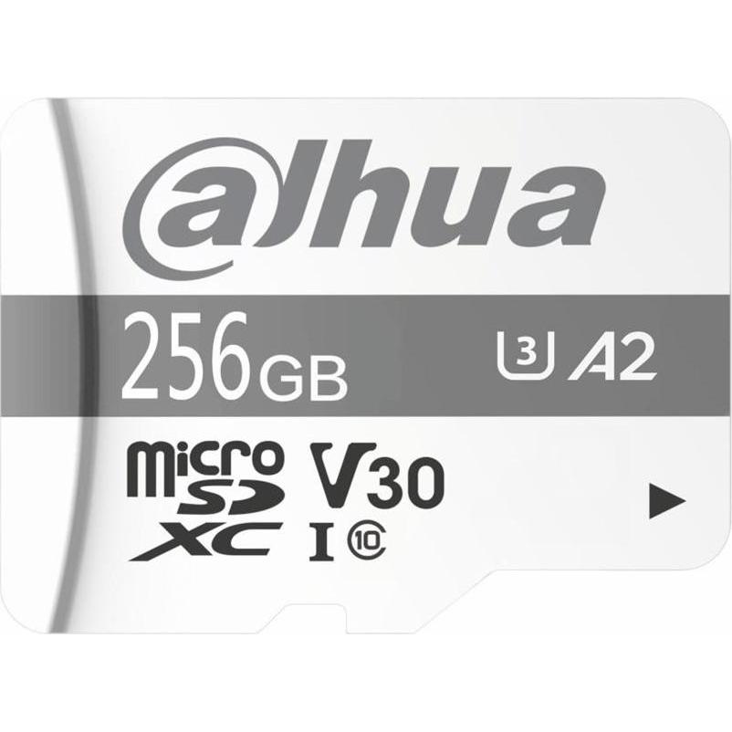 Dahua Tecnologia P100, 64 GB, MicroSD, Classe 10, UHS-I, 100 MB/s, 80 ...