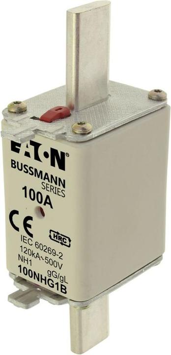 Eaton NH1 fuse link double indicator 100A 500V GL/GG (100NHG1B) - Galaxus