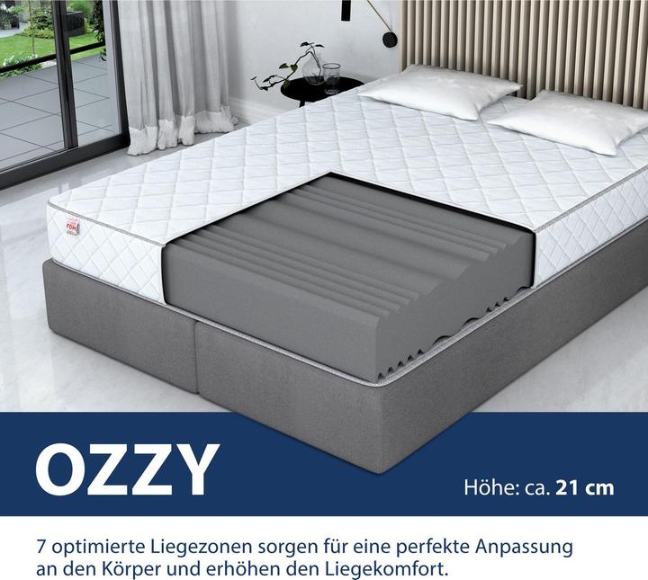 Avetoe Matratze 120x200 OZZY - 7 Zonen Kaltschaum Premium - H3 - 21cm ...