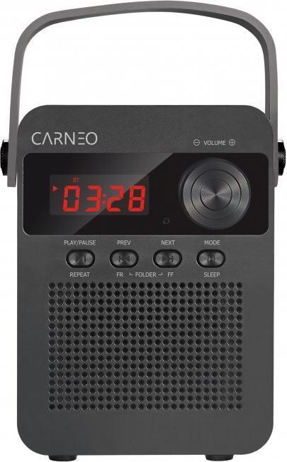 Carneo F90 FM rÃ¡dio, BT reproduktor, black/wood - kaufen bei Digitec