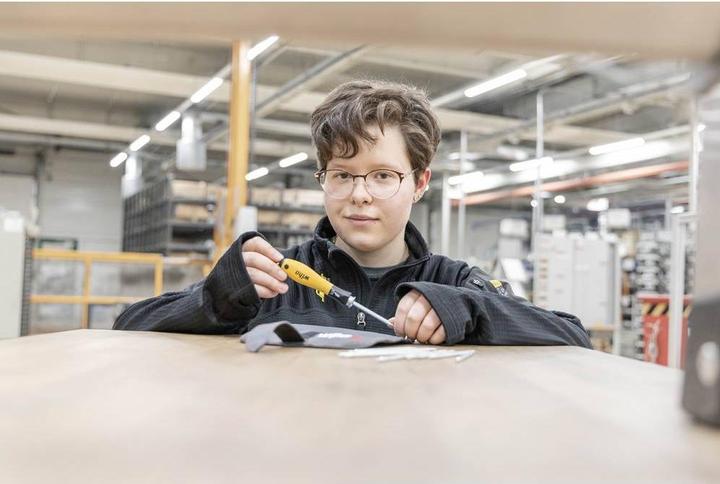 Wiha Set SYSTEM 4 ESD (Phillipps cross recess (PH), Torx (TX), Allen ...