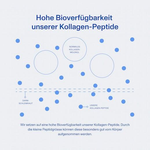 Vital Proteins Active Complex Collagen Pulver - acheter sur Galaxus