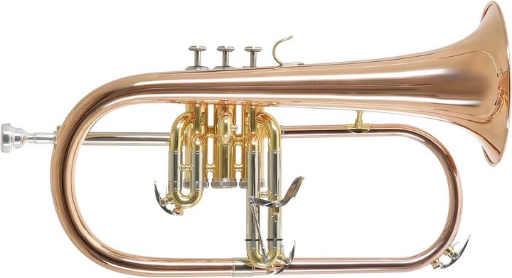 Roy Benson Flugelhorn professionale con becco dorato, valvole ...