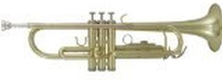 Roy Benson Bb-Trompete TR-101 - kaufen bei Digitec