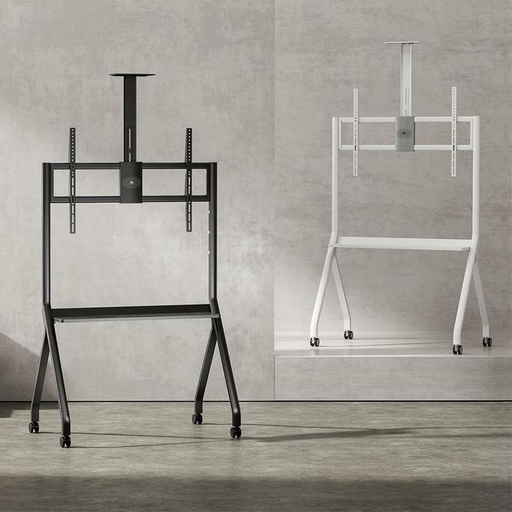 Maclean Screen support for the MC-114 W 100" 55" table - Galaxus