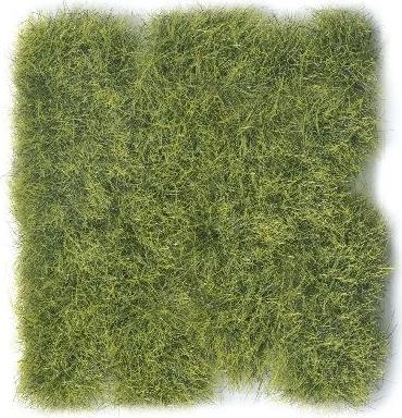 Wittmax Wild Tuft - Jungle 12 mm. - kaufen bei Galaxus - Galaxus