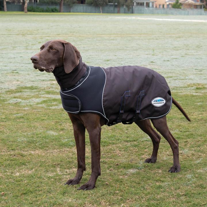 Weatherbeeta ComFiTec Ultra Cozi (25, Dog coat) - buy at Galaxus