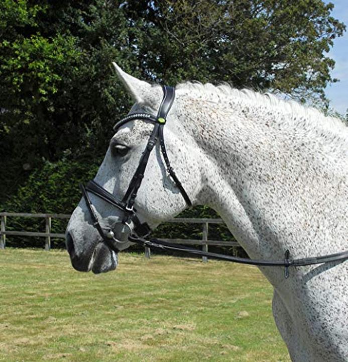 Rhinegold Anatomisch hoofdstel - Extra vol - Havana - Galaxus