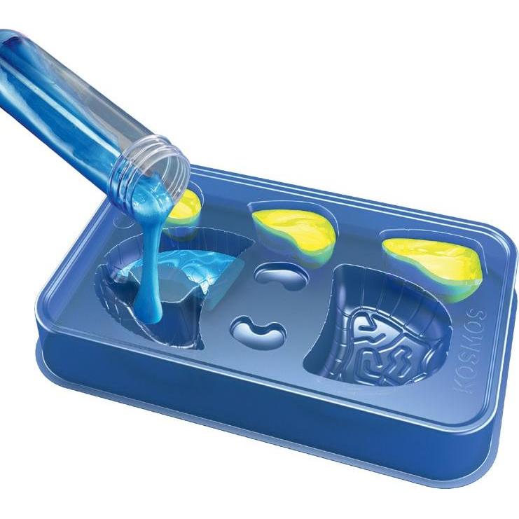 Piatnik Zestaw Fun Science - Squishy Organs - kaufen bei Galaxus