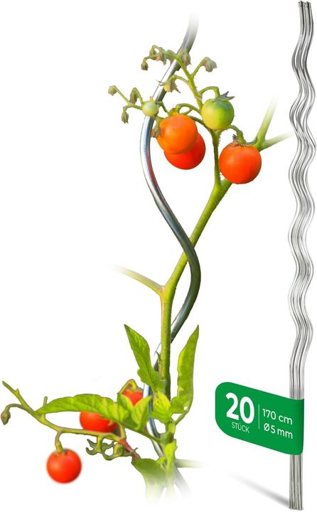 Novatool 20 tomato poles 170 cm x 5 mm Ø climbing support for tomatoes ...