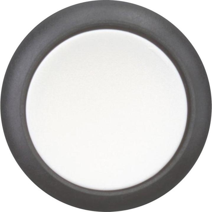 Eaton Push-button, RMQ titanium, flat, latching, 216616 - Galaxus