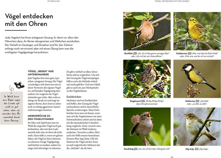 Kosmos Waldglück - kaufen bei Galaxus