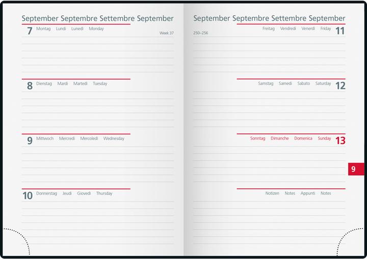 Simplex Wochenagenda Ladytimer 10 x 14 cm, 2026, Mehrfarbig (A6, 1 ...