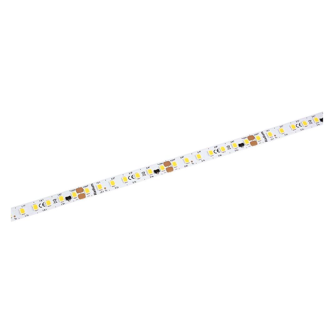 Radium LED strip 24V - buy at Galaxus