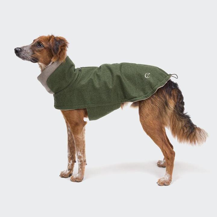 cloud 9 dog coat