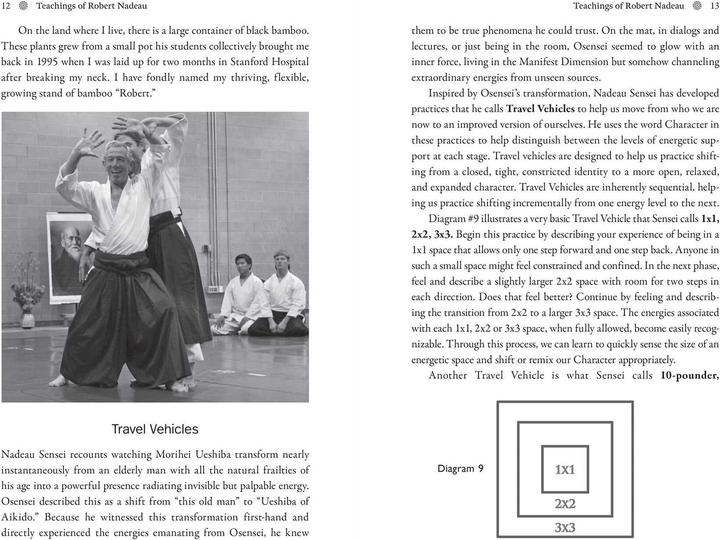 Simon & Schuster Aikido: The Art of Transformation - Galaxus